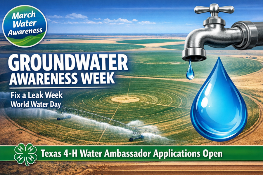 Water Awareness Events March 2026: - TownTalk Radio